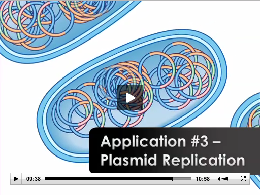 30 days of Science Education: Bacterial transformation & the heat shock ...