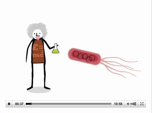 30 days of Science Education: Bacterial transformation & the heat shock ...