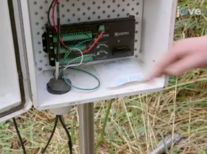Improving Field Monitoring with Video